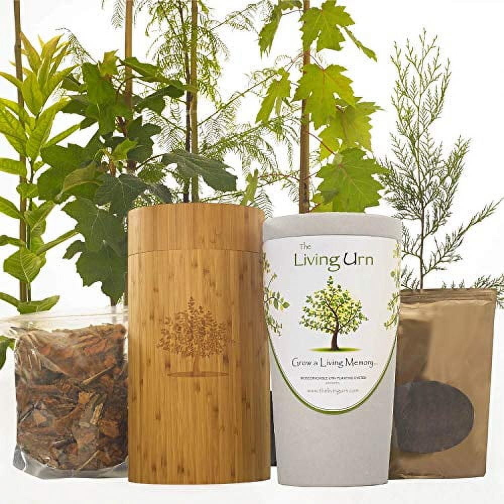 The Living Urn Bio Urn Including a Premium Young Tree of Choice. Grow a ...