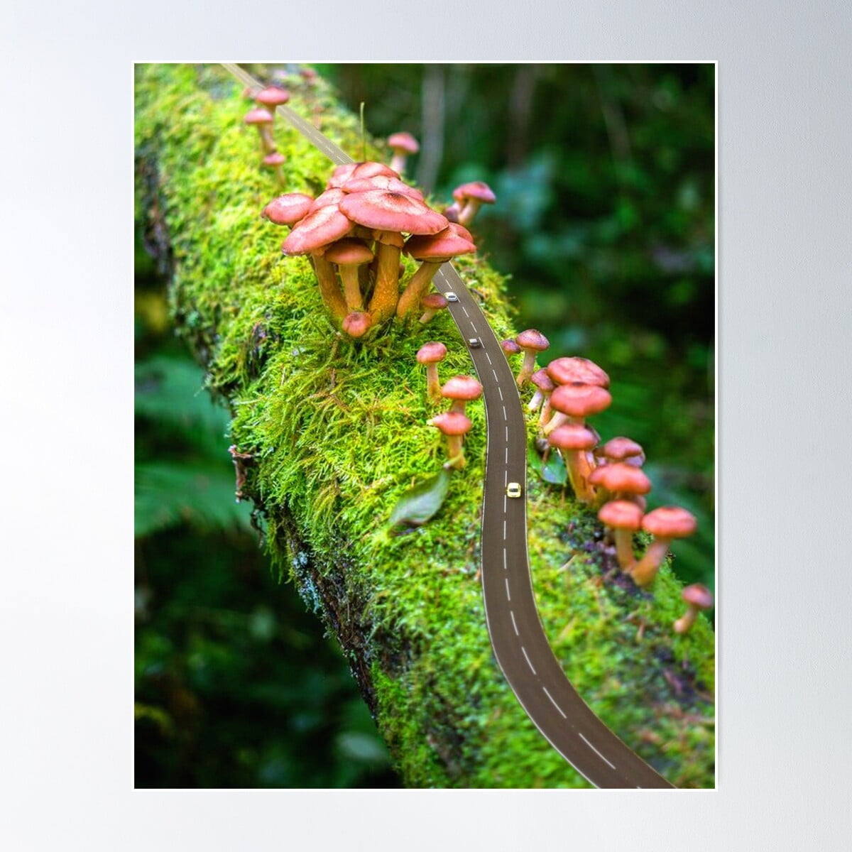 The Log Way Home Poster Wall Art, Modern Wall Decor For Living Room ...