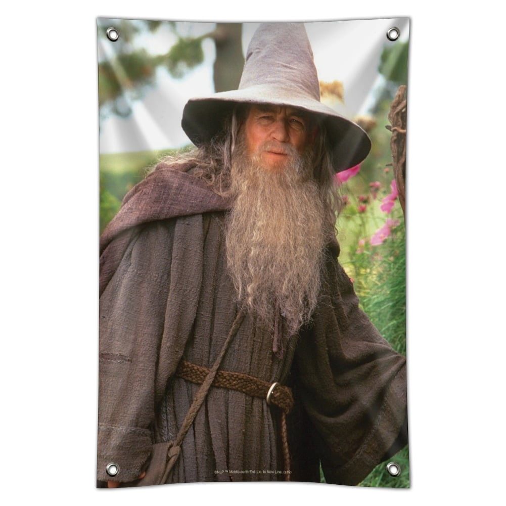 The Lord of the Rings Gandalf the Grey Character Home Business Office ...