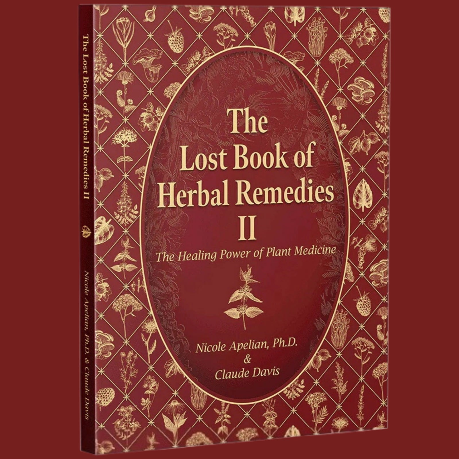 The Lost Book of Herbal Remedies II Holistic Herbal Protocol Book ...