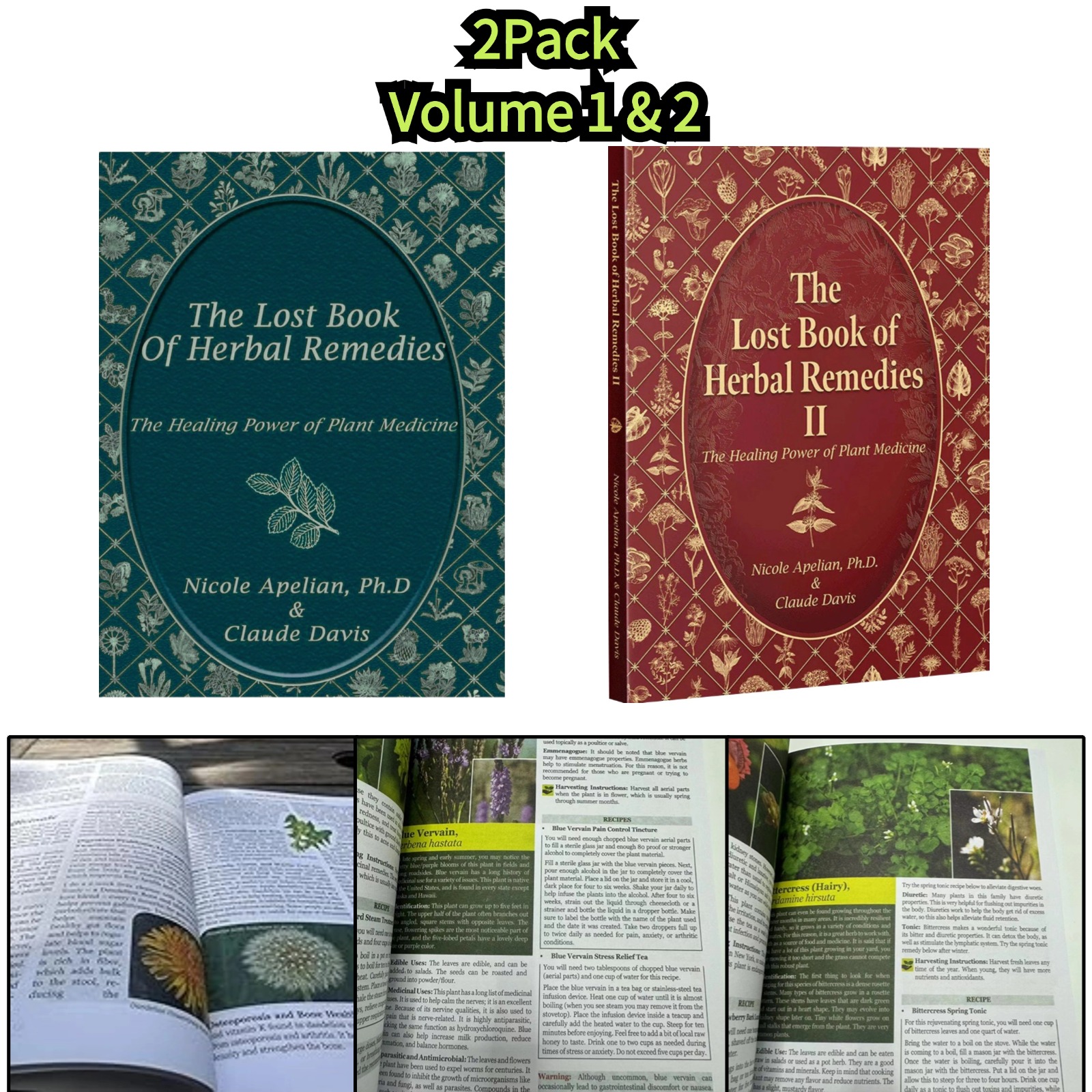 Seminal Sociological Writings, Volume 2 : From Harriet Martineau to W.E ...