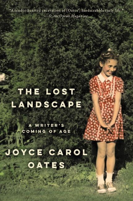 The Lost Landscape, (Paperback) - Walmart.com