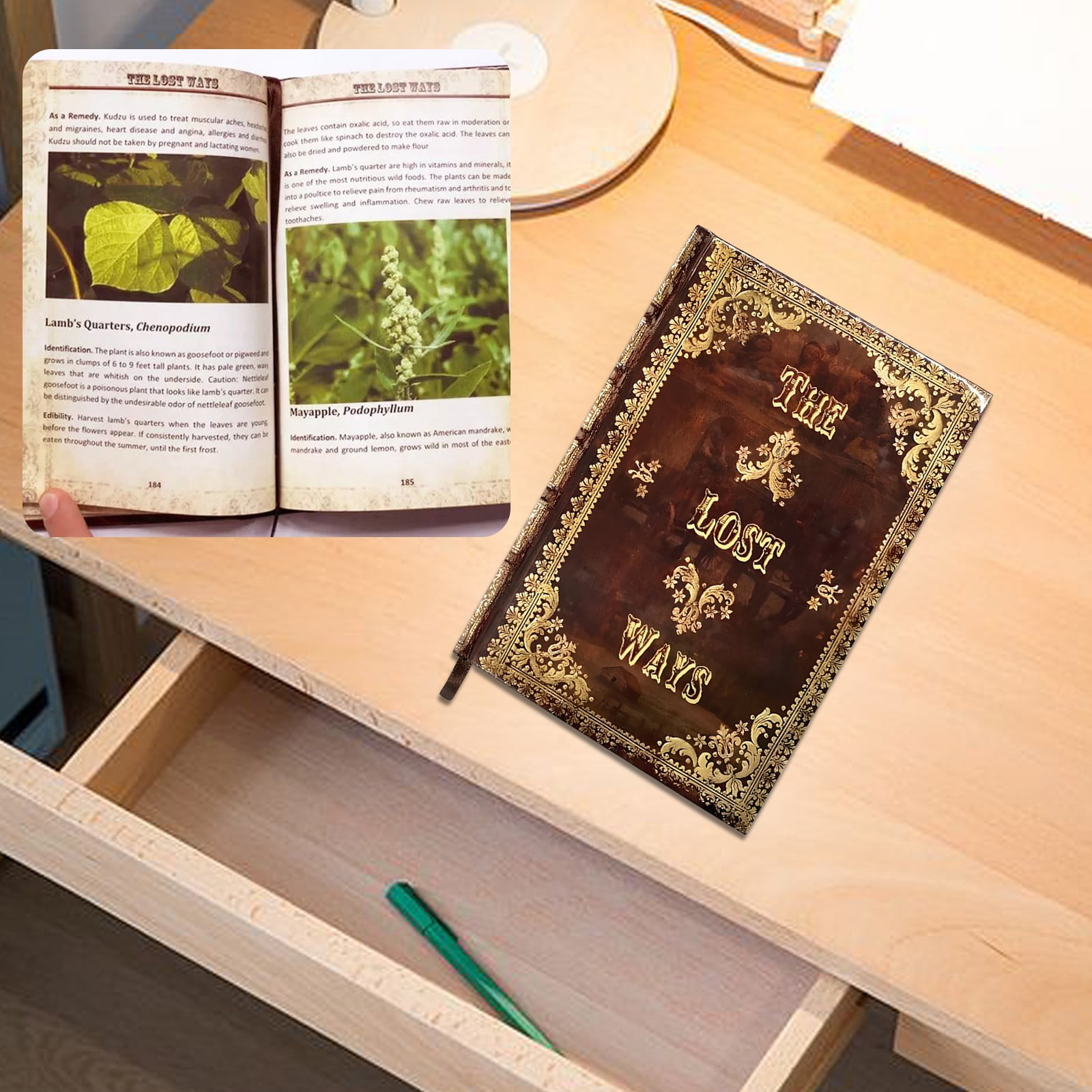 The Lost Ways The lost Ways Survival Book The Lost Wisdom of : How to ...