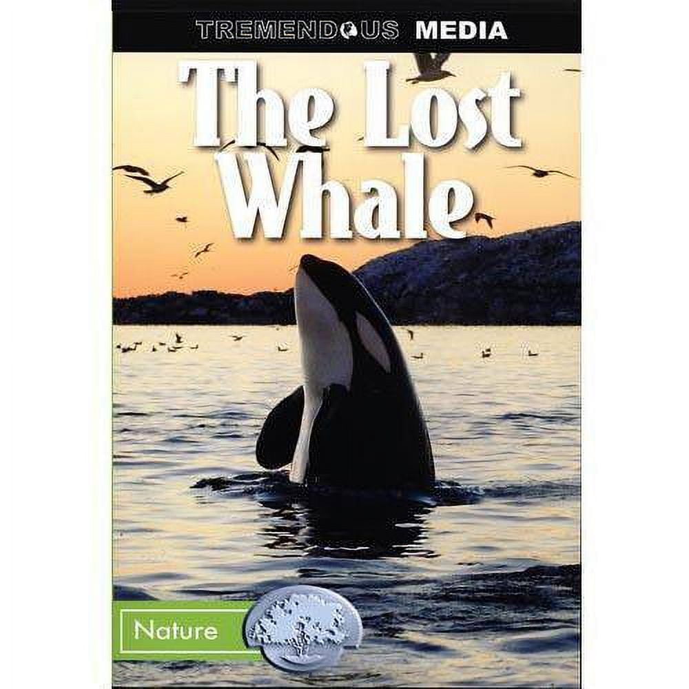 The Lost Whale - Walmart.com