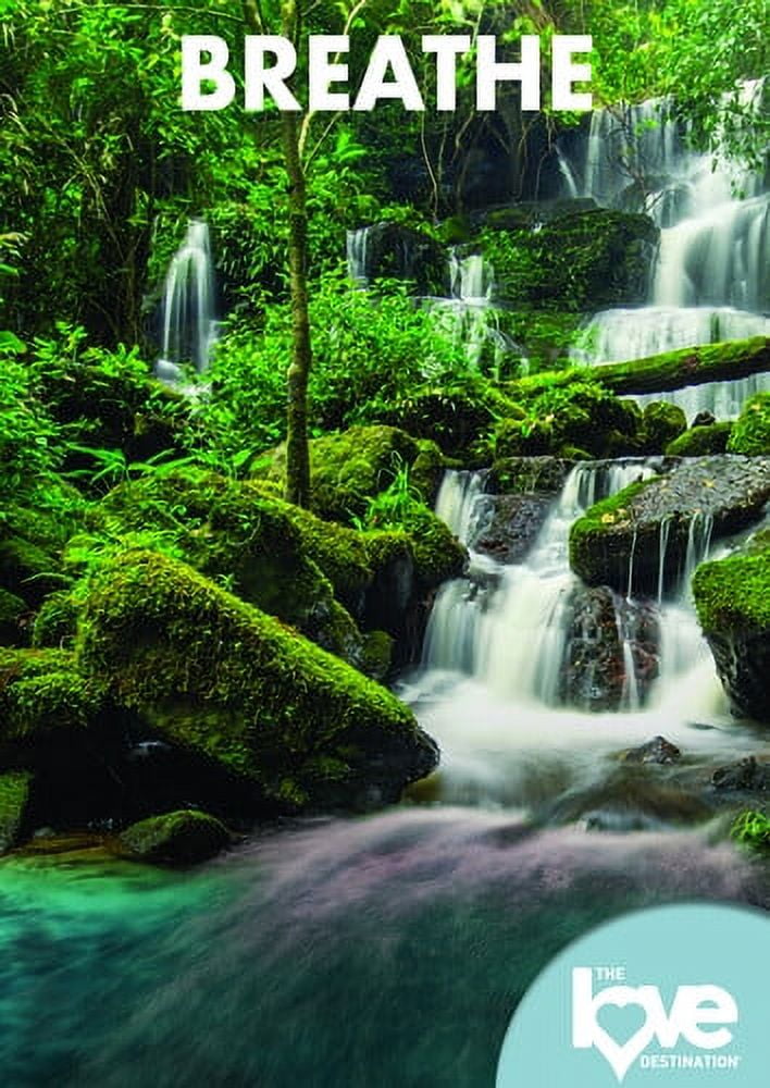 The Love Destination Courses: Breathe (DVD), Dreamscape, Special Interests - Walmart.com