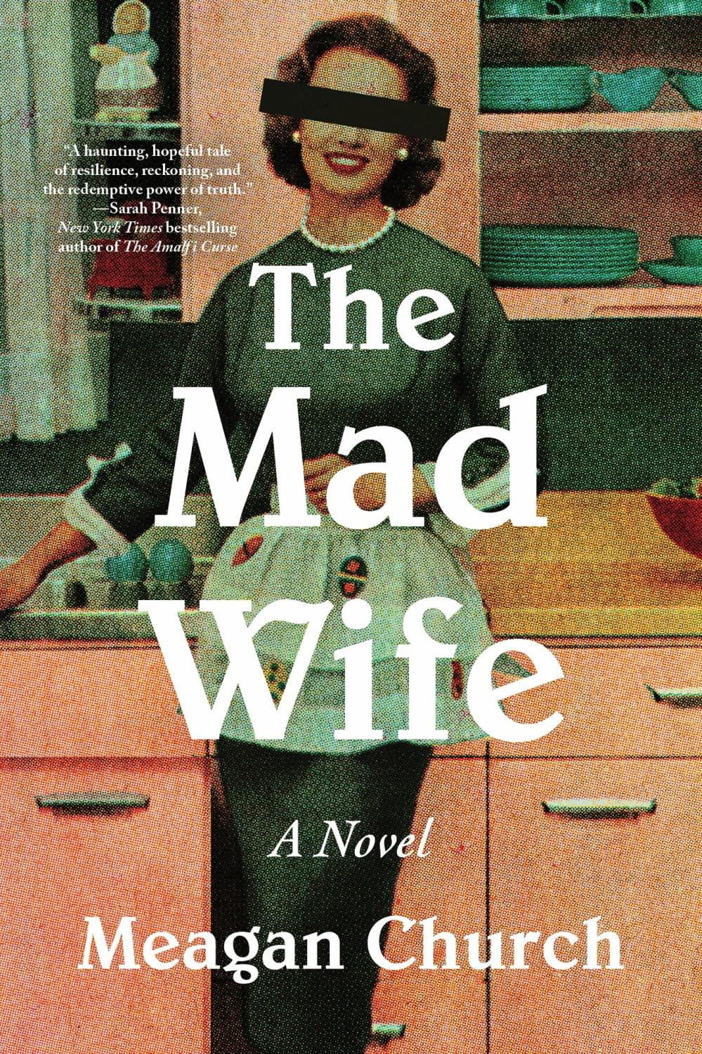 The Mad Wife: A Novel (Paperback) - Walmart.com