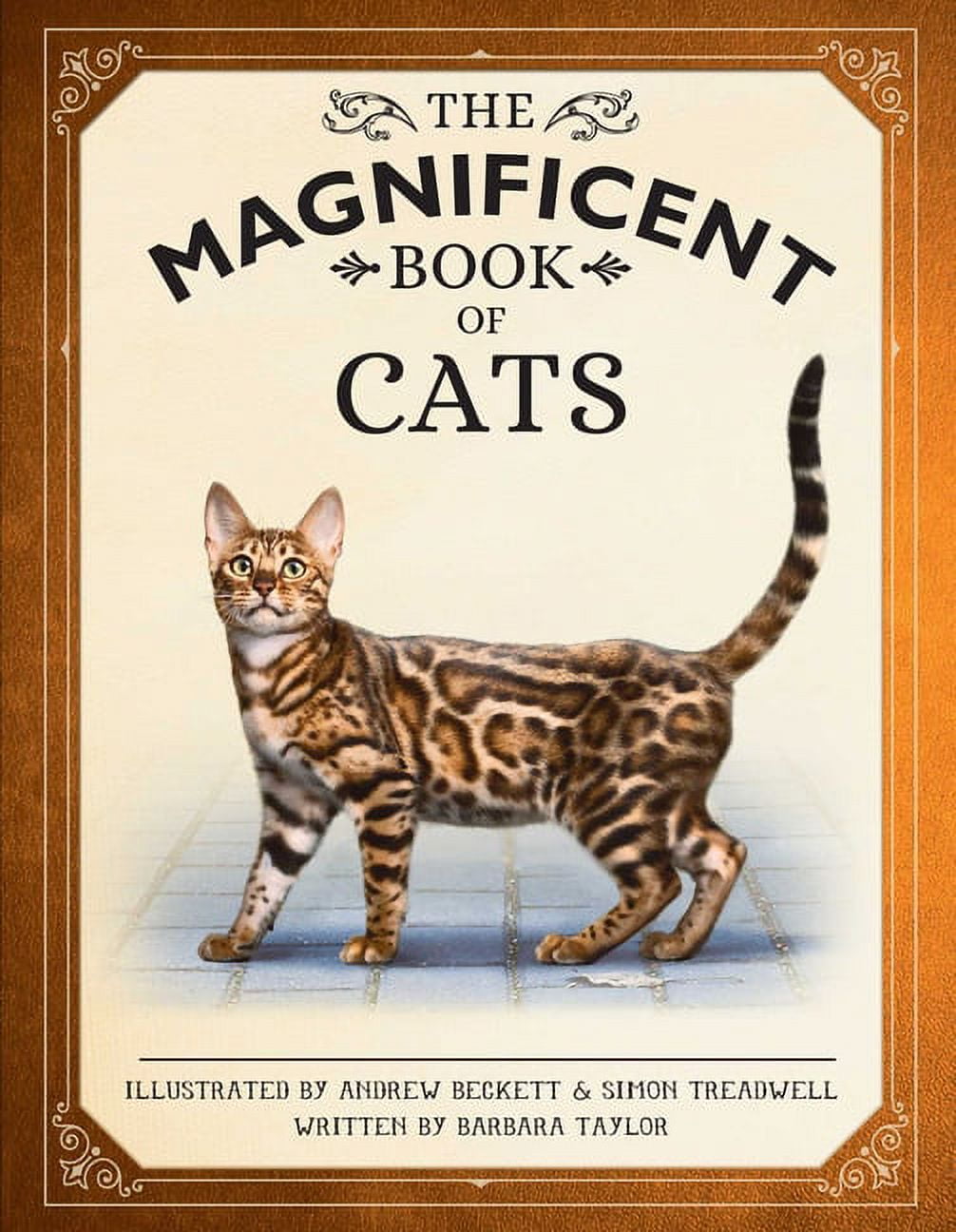 The Magnificent Book of: The Magnificent Book of Cats : (Kids Books ...