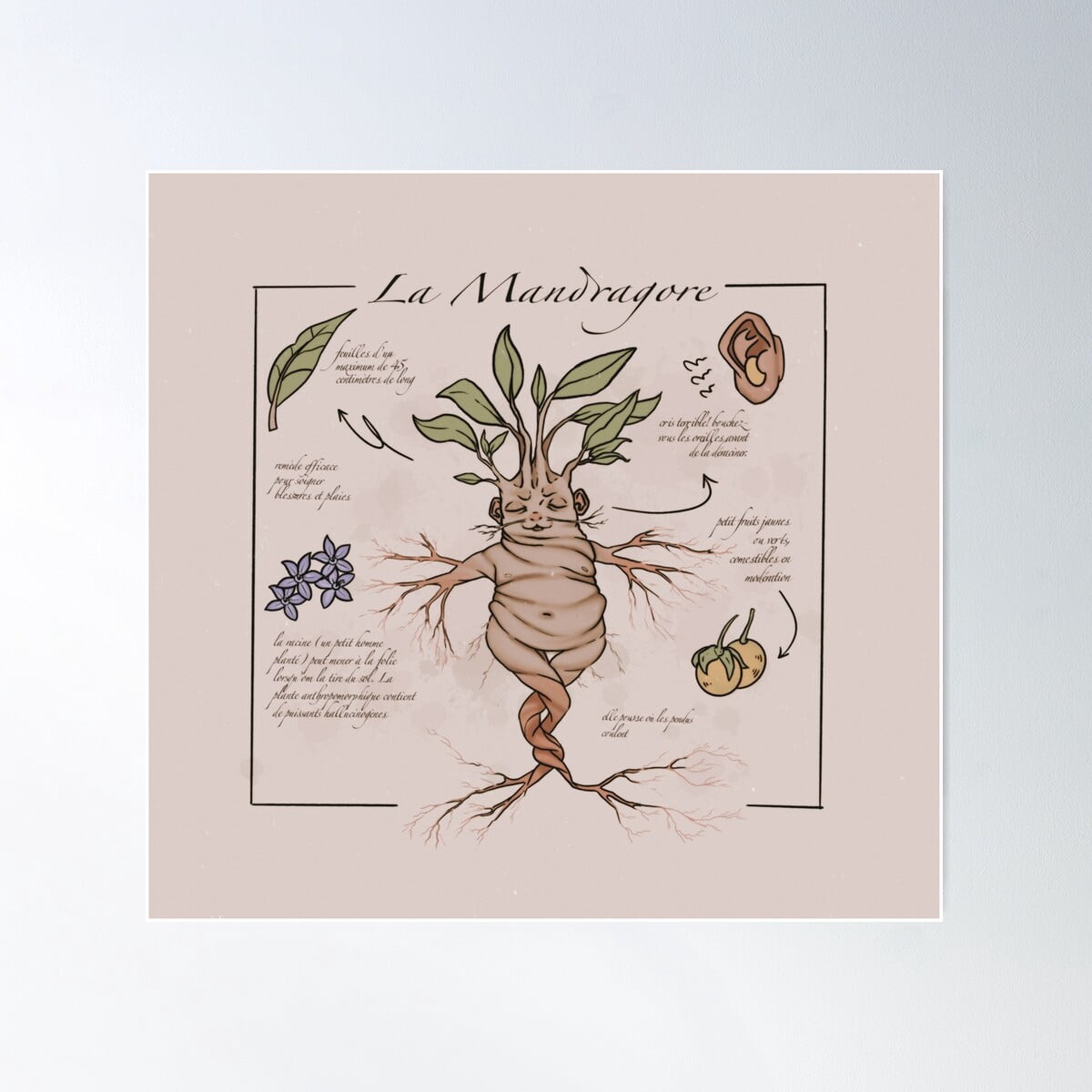 The Mandrake Poster Wall Art, Modern Wall Decor For Living Room Bedroom ...