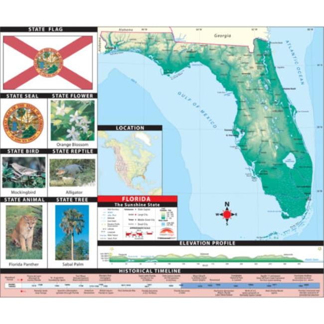 The Map Shop KA-S-FL-PRMRY-paper Florida Primary Thematic Wall Map ...
