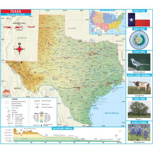 The Map Shop KA-S-TX-PRMRY-paper Texas Primary Thematic State Wall Map ...