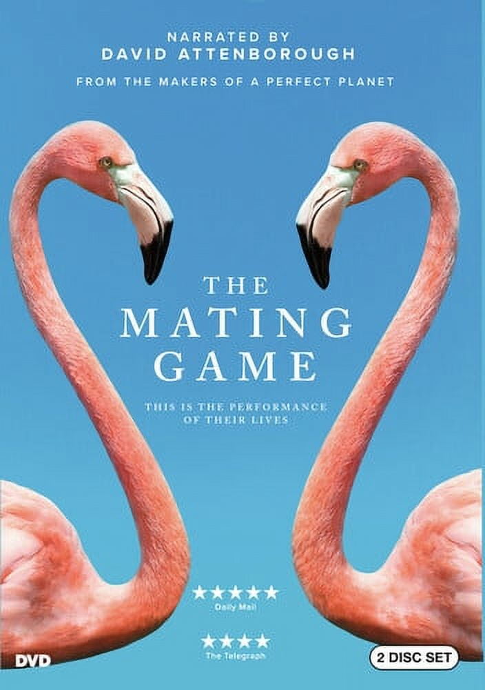 The Mating Game (DVD), BBC Archives, Documentary - Walmart.com