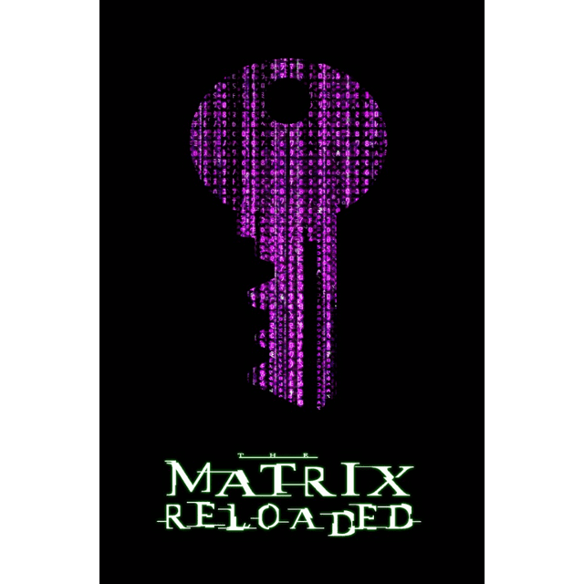 The Matrix Reloaded 2003 Poster 24x36 - Keanu Reeves Sci-Fi Action Neo ...
