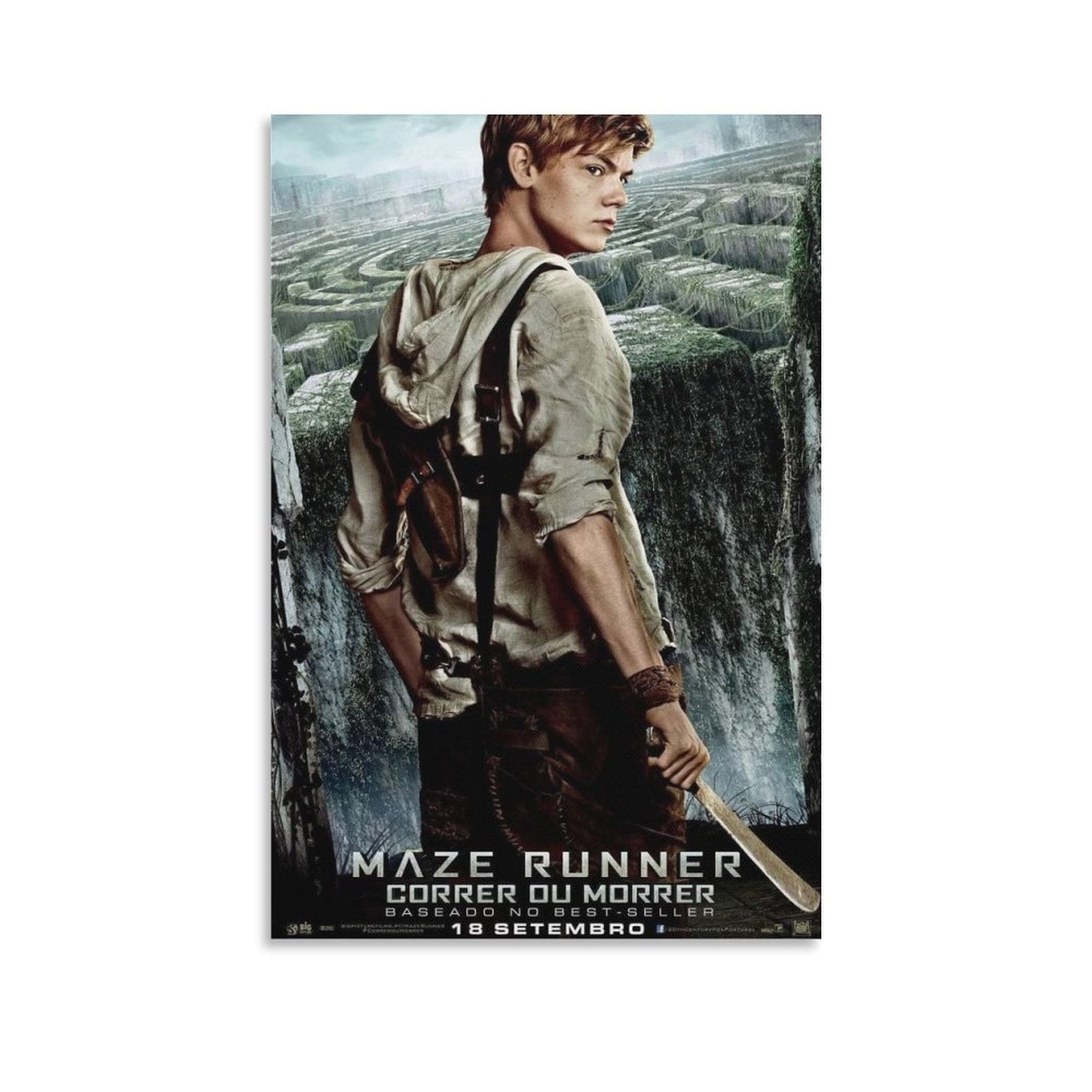 The Maze Runner Movie Poster Canvas Art Poster and Wall Art Picture ...
