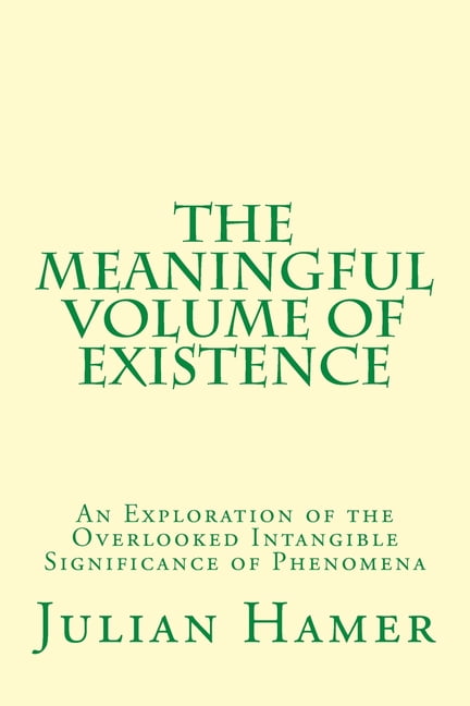 The Meaningful Volume of Existence: An Exploration of the Overlooked ...
