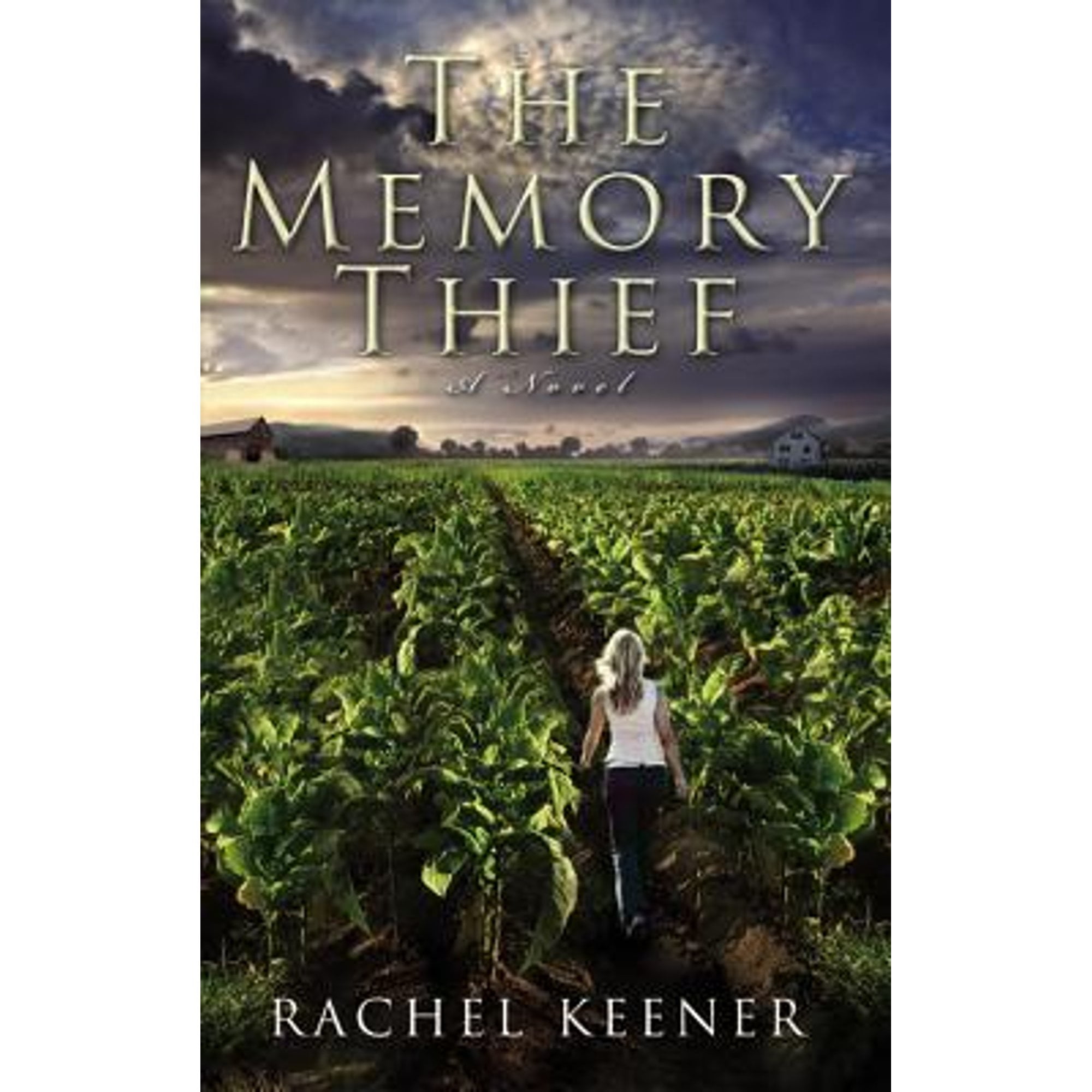 Pre-Owned The Memory Thief Paperback - Walmart.com
