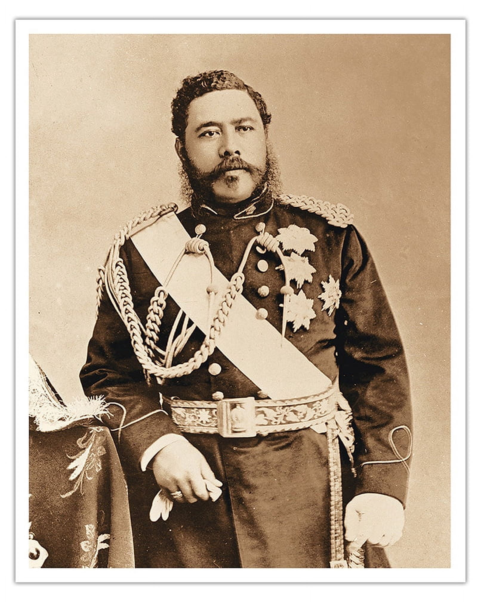 The Merrie Monarch - Hawaiian King David Kalākaua (Kalakaua) (1836-1891 ...
