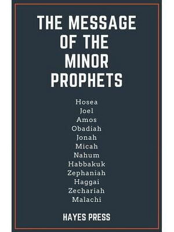 The Message of the Minor Prophets - Walmart.com