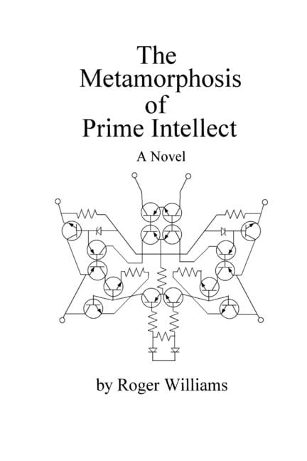 The Metamorphosis of Prime Intellect (Paperback) - Walmart.com