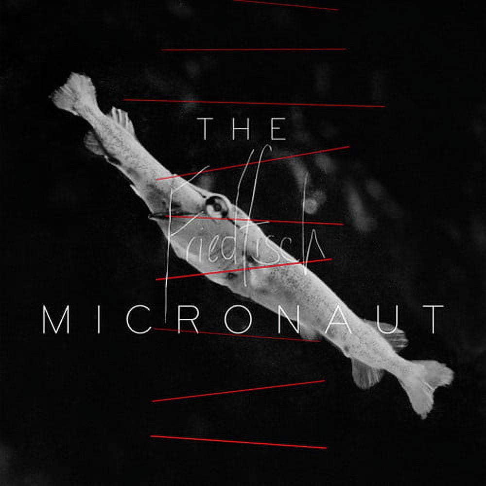 The Micronaut - Friedfisch - Music & Performance - CD - Walmart.com