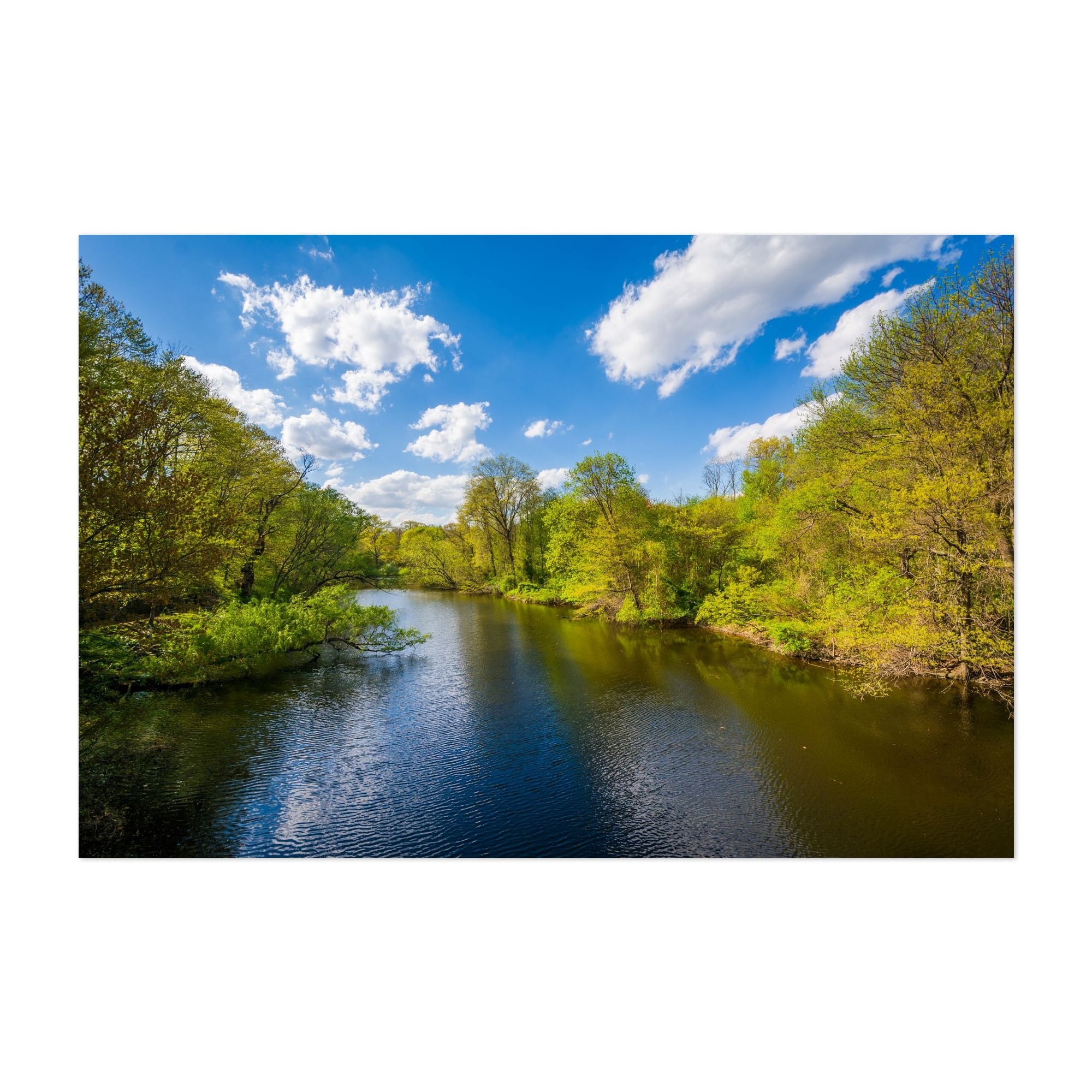 The Mill River - New Haven Connecticut Photography Nature Landscape ...