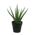 The Mod Greenhouse Artificial Aloe Vera Plant - 14 Succulent - Walmart.com