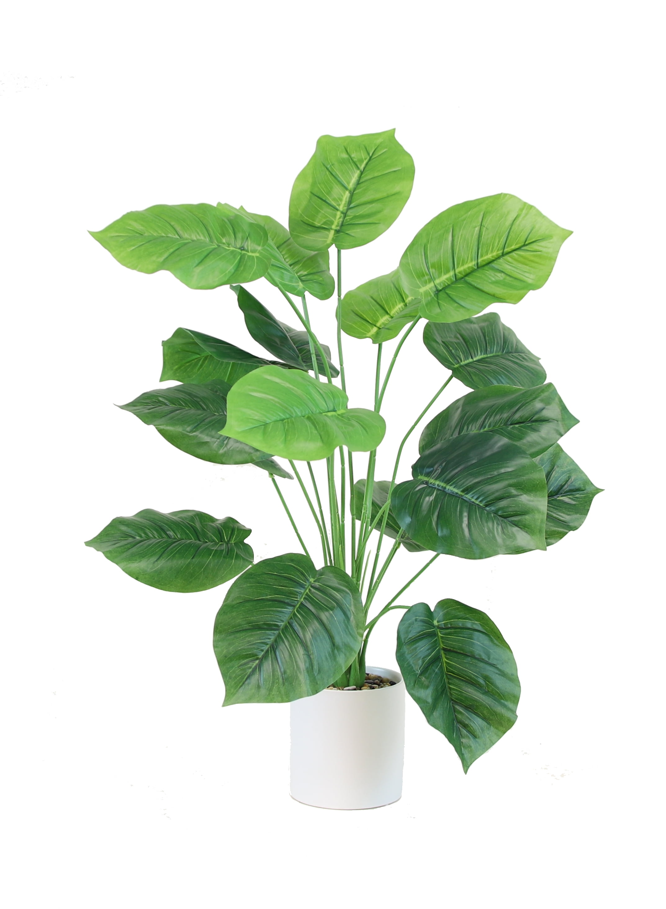 The Mod Greenhouse 28" Artificial Green Taro Plant in a White Ceramic ...