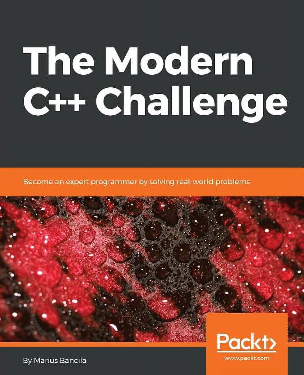 The Modern C++ Challenge (Paperback) - Walmart.com