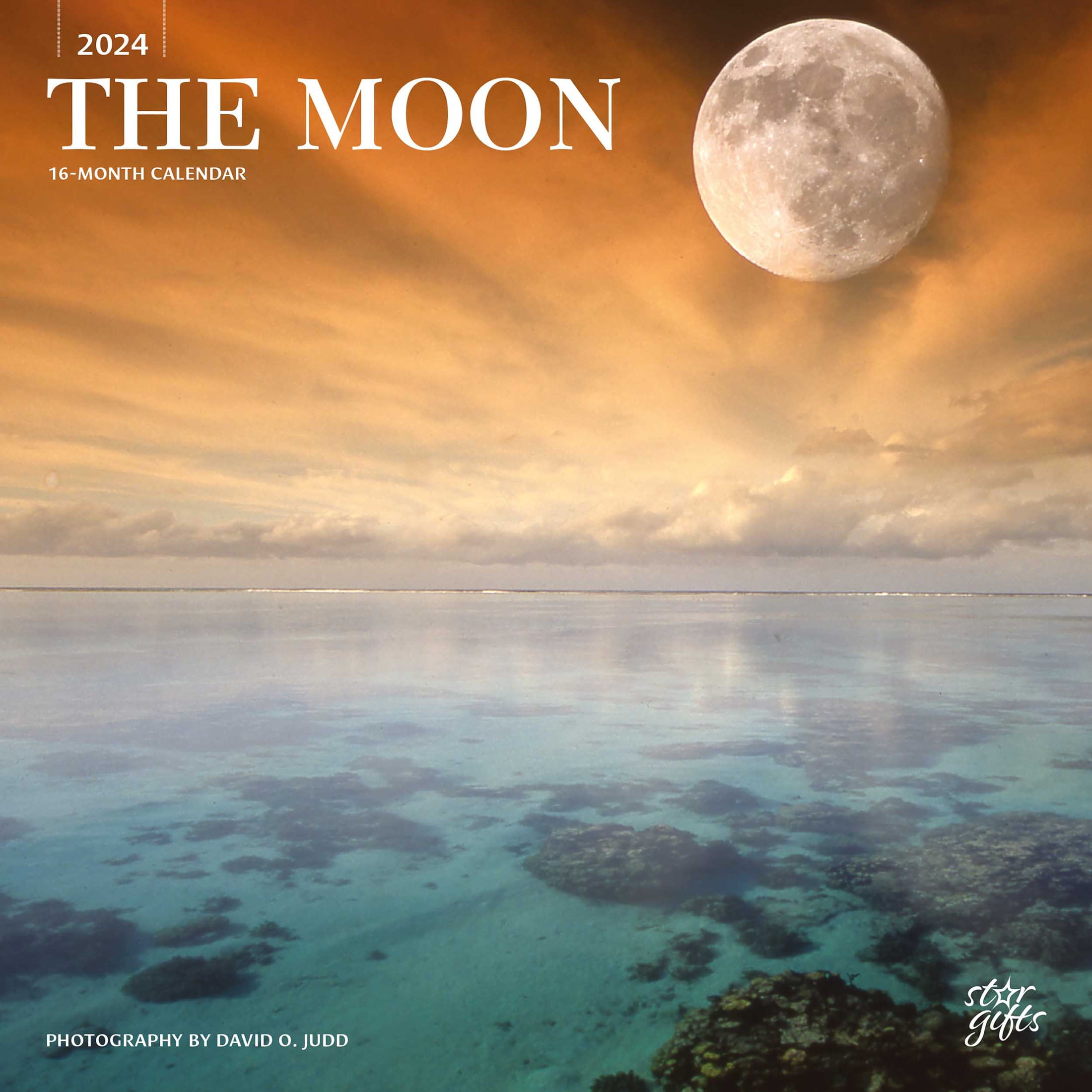 The Moon | 2024 12x24" (Hanging) Square Monthly Wall Calendar ...