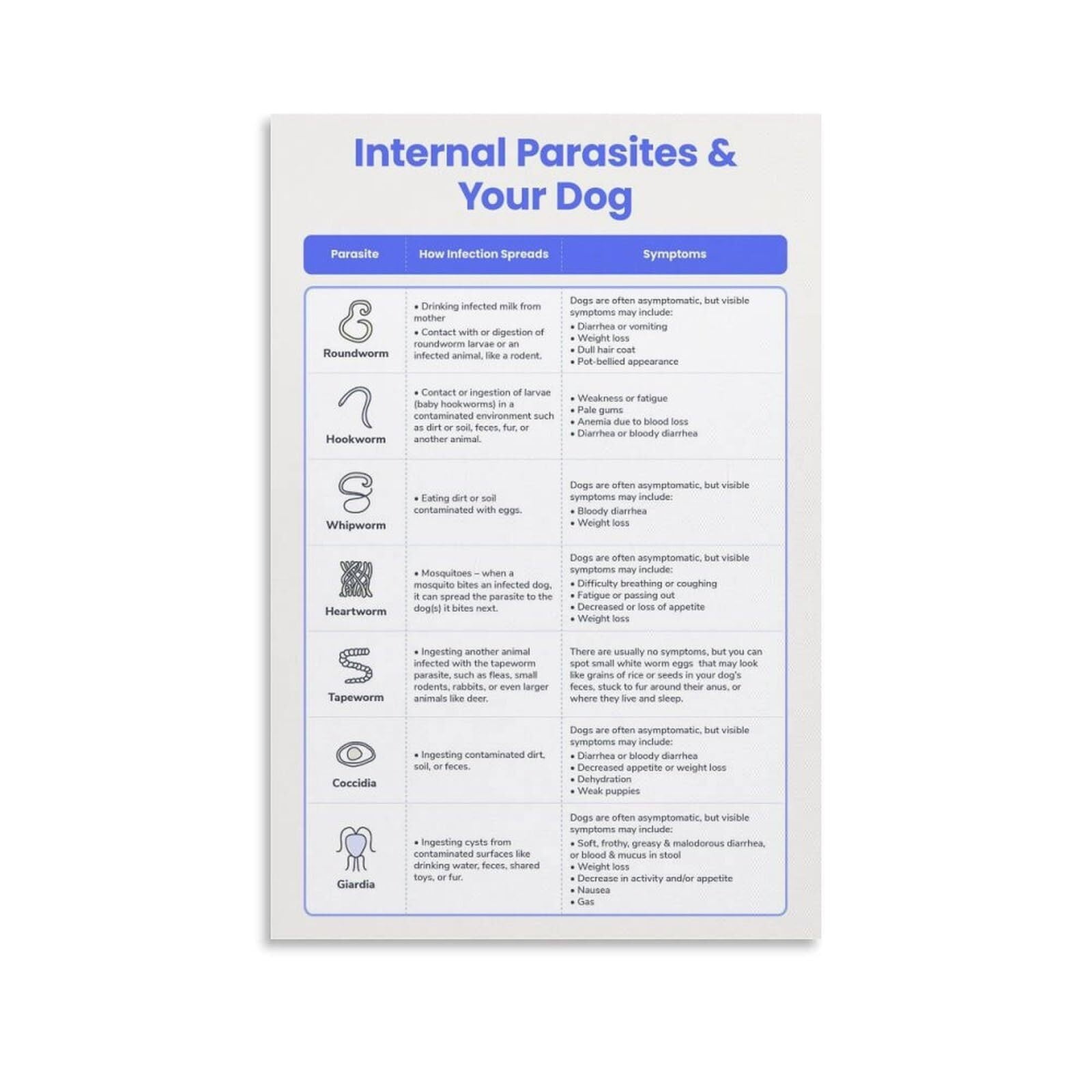 The Most Common Internal Parasites In Dogs And Cats Print Poster 2 ...