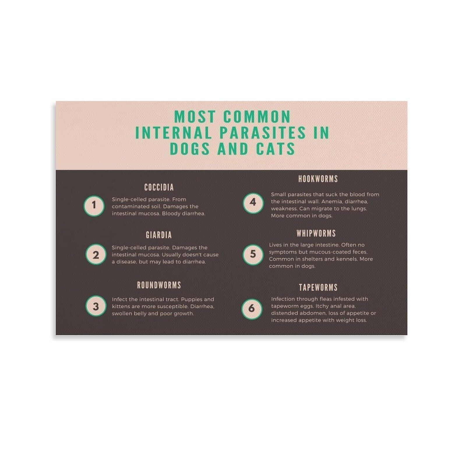 The Most Common Internal Parasites In Dogs And Cats Print Poster 3 ...
