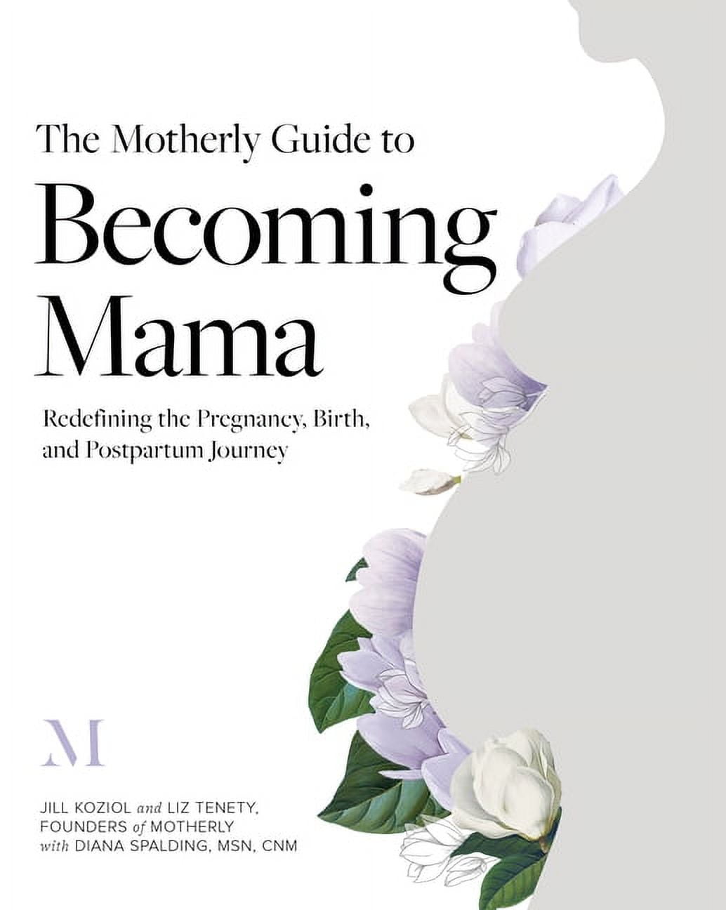 The Motherly Guide to Becoming Mama : Redefining the Pregnancy, Birth ...