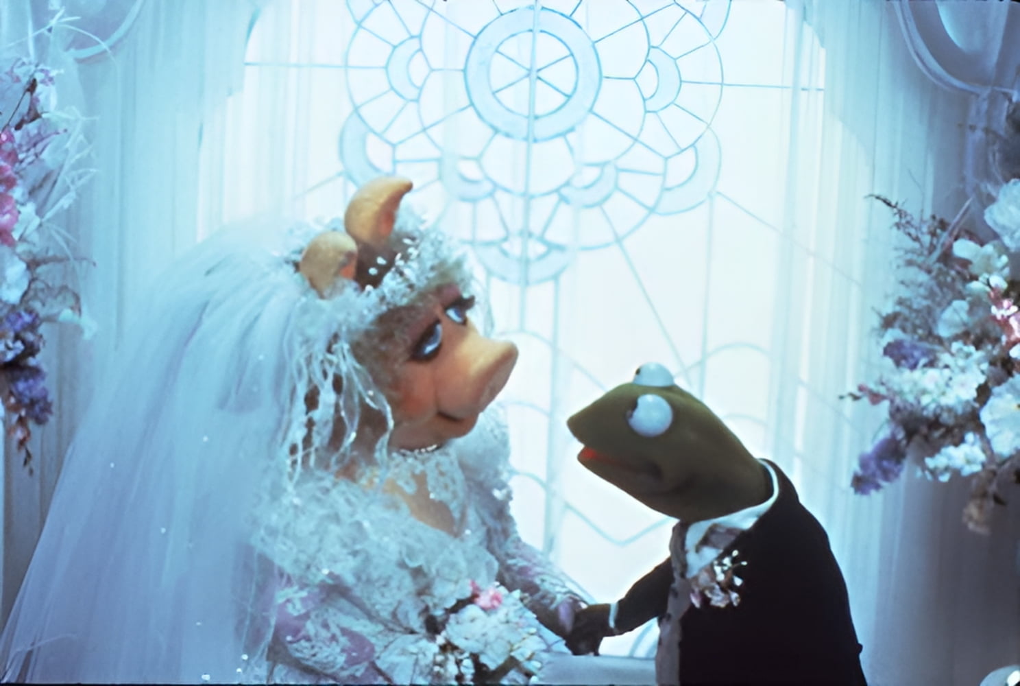 The Muppets Take Manhattan - Family Show Movie (DVD) - Walmart.com