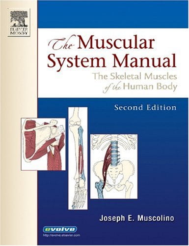 Pre-Owned The Muscular System Manual: The Skeletal Muscles of the Human ...