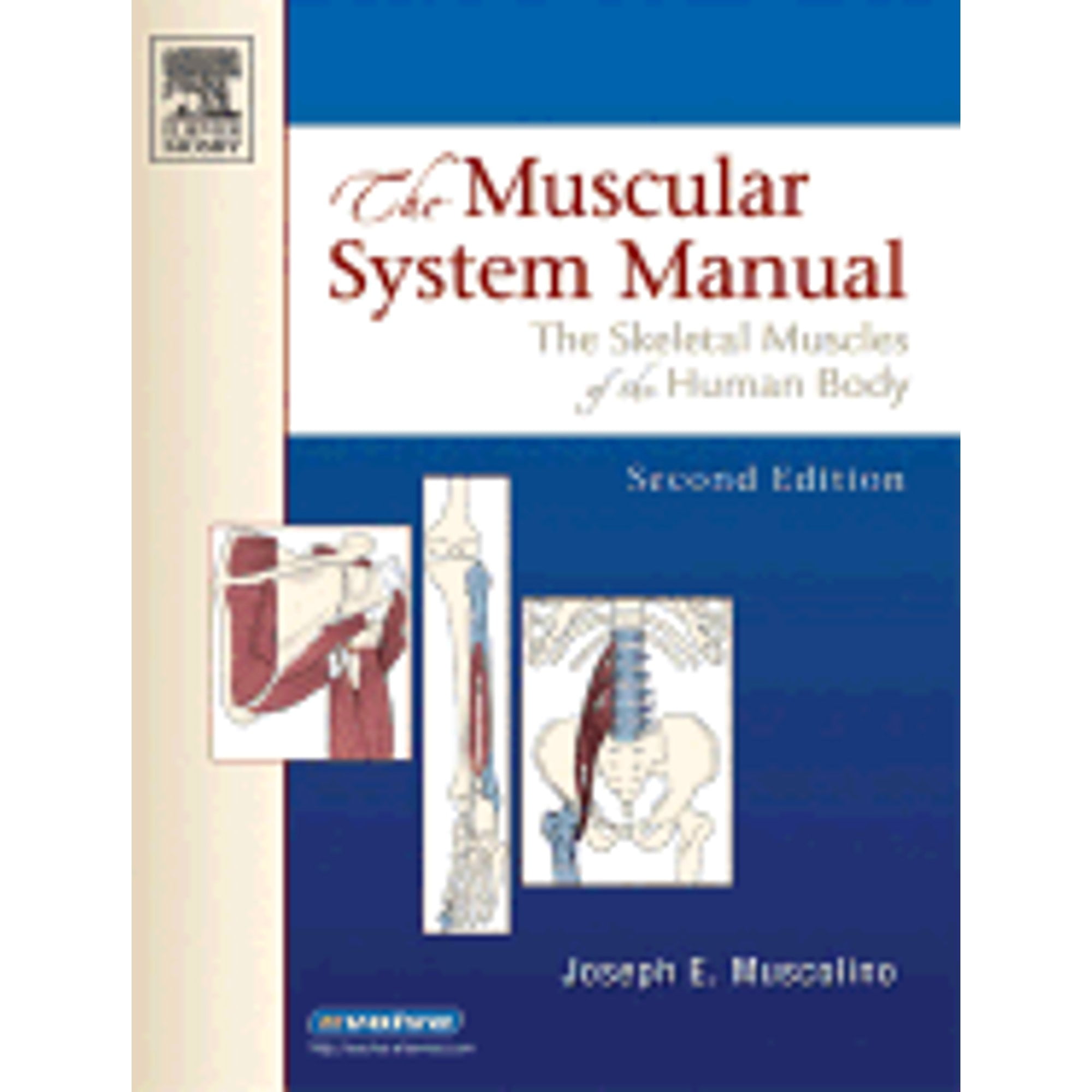Pre-Owned The Muscular System Manual: The Skeletal Muscles of the Human ...