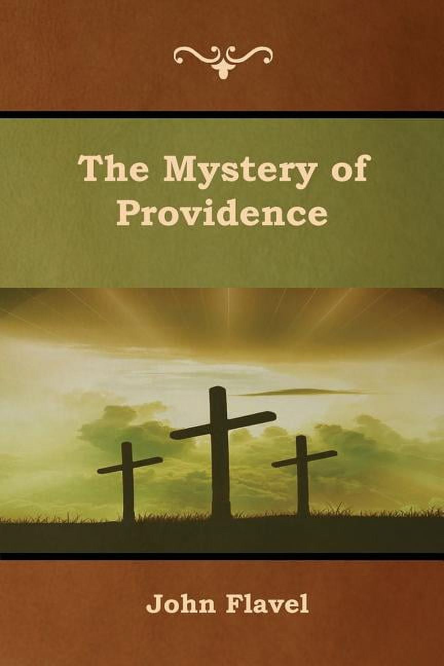 The Mystery of Providence, (Paperback) - Walmart.com