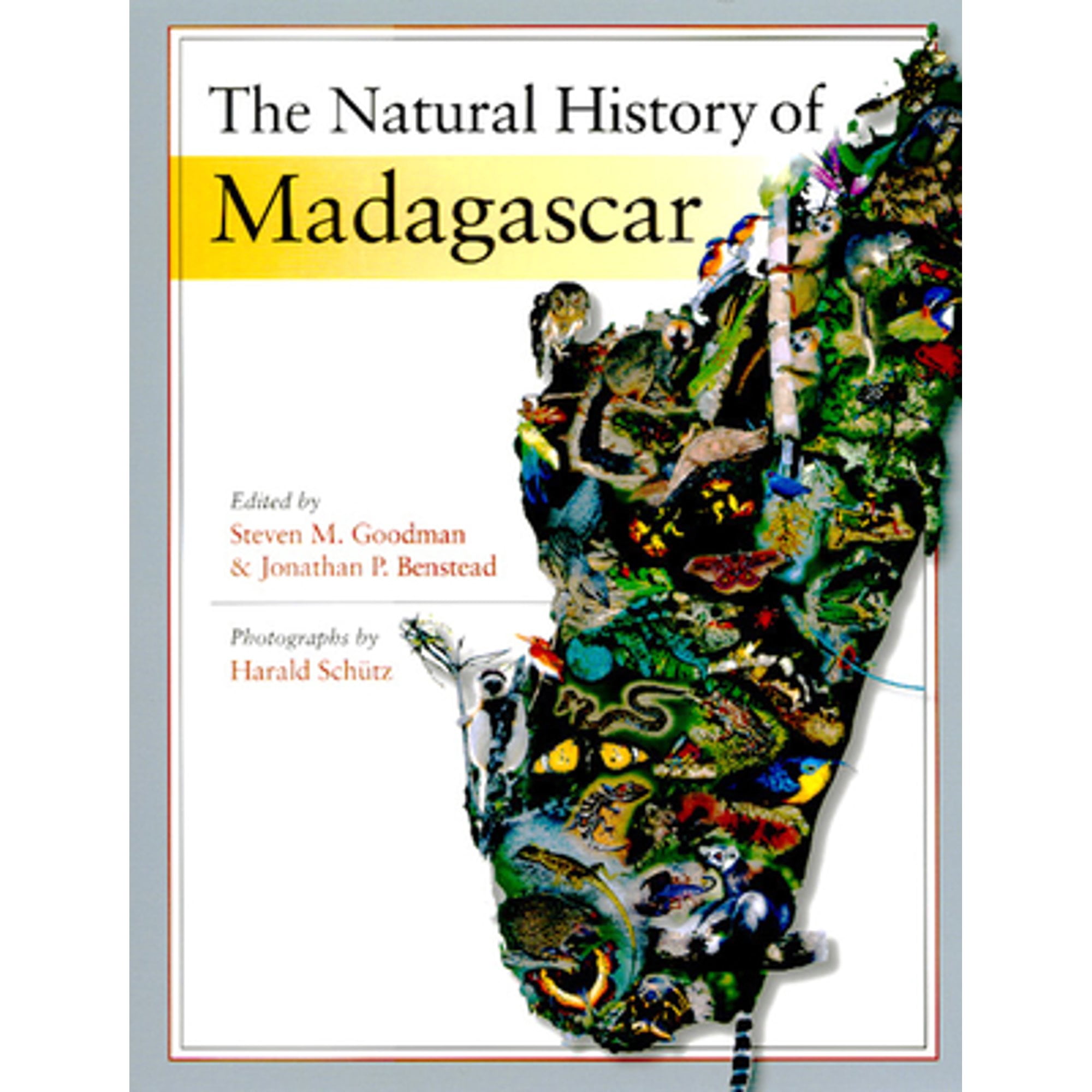 Pre-Owned The Natural History of Madagascar Hardcover - USED - Walmart.com