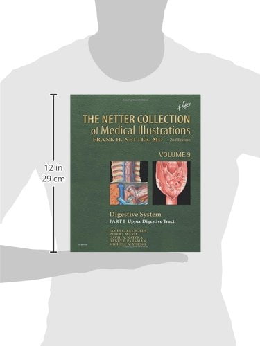 Pre-Owned The Netter Collection of Medical Illustrations: Digestive ...
