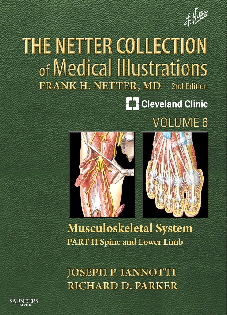 The Netter Collection of Medical Illustrations: Musculoskeletal System ...