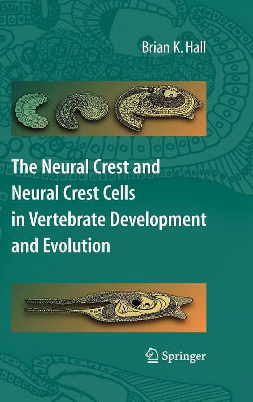The Neural Crest and Neural Crest Cells in Vertebrate Development and ...