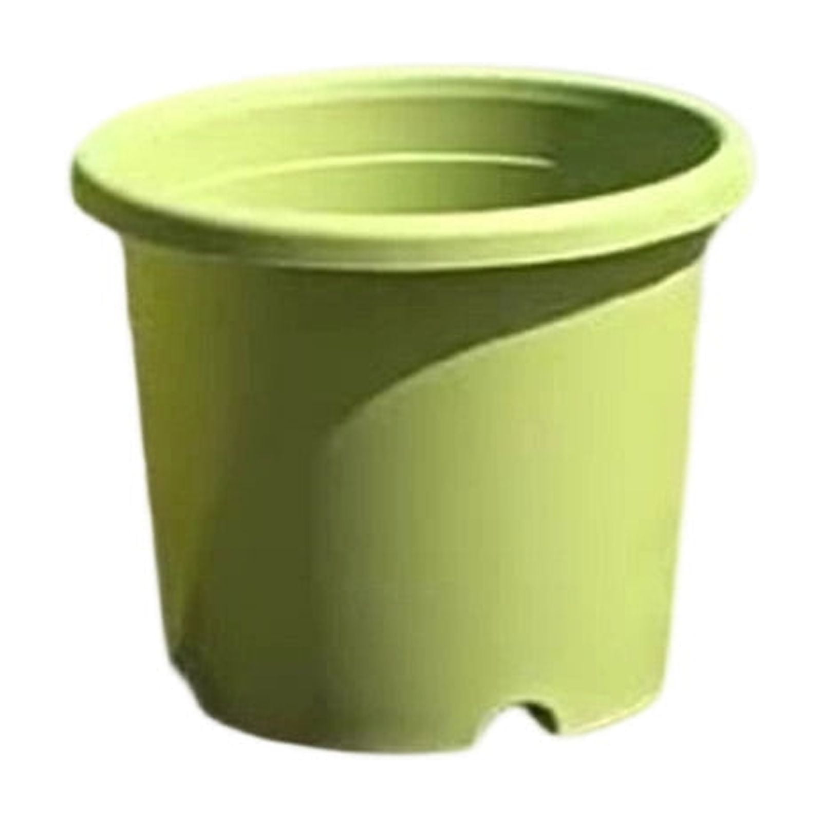 The New - Gallon Rose And Green Vine Plastic Flowerpot Of Four Seasons ...