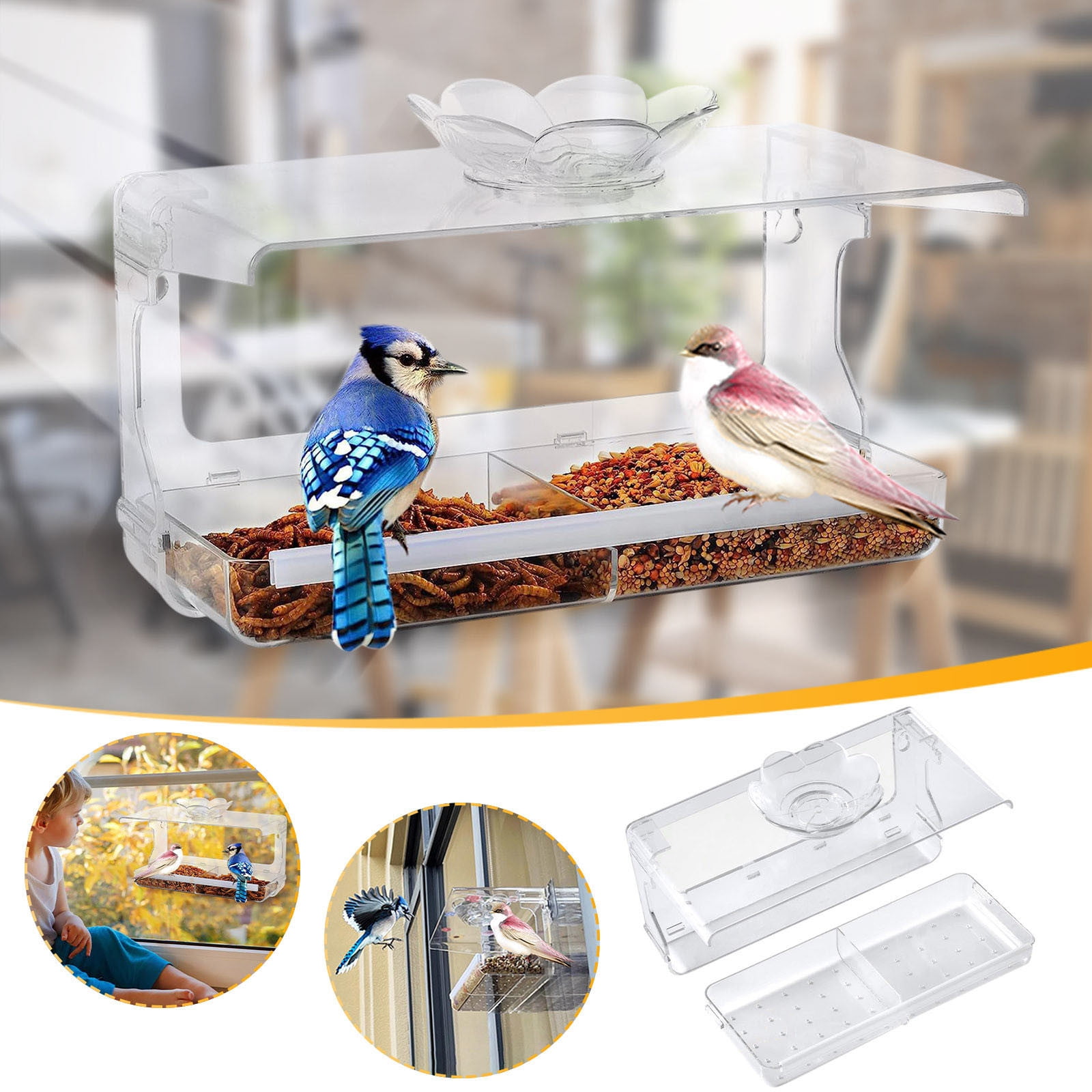 The New Transparent Wall-Mounted Bird Cage with A Powerful Suction Cup ...