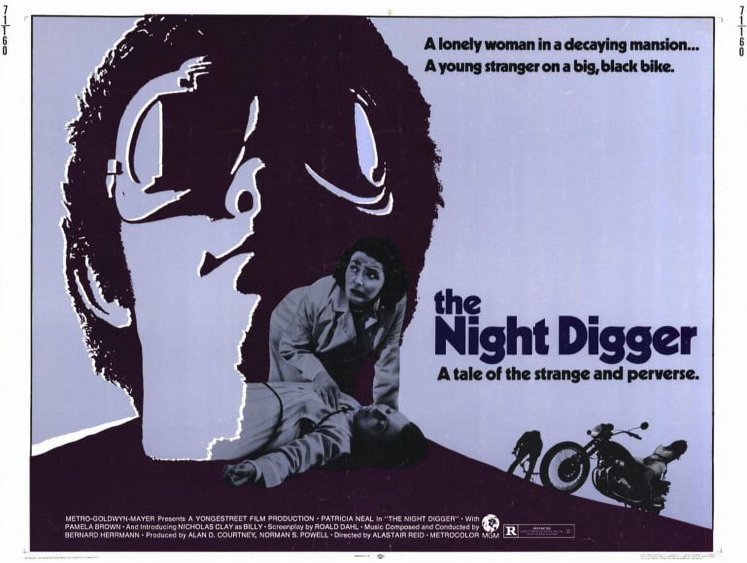 The Night Digger - movie POSTER (Style A) (11" x 14") (1971) - Walmart.com