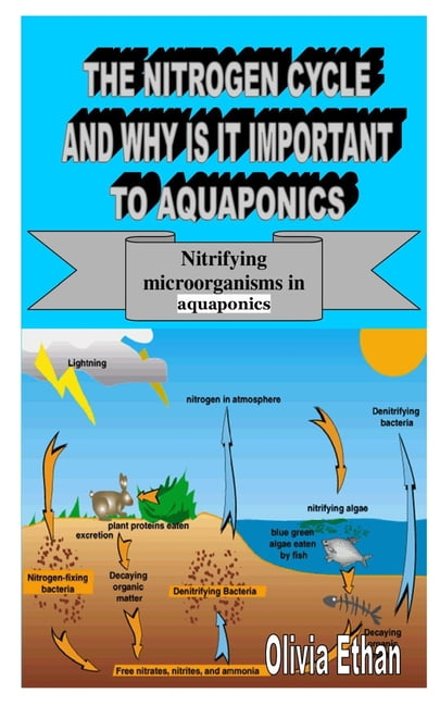 Nitrogen Cycle Aquaponics