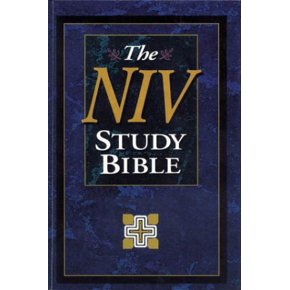 Niv Bible Large Print