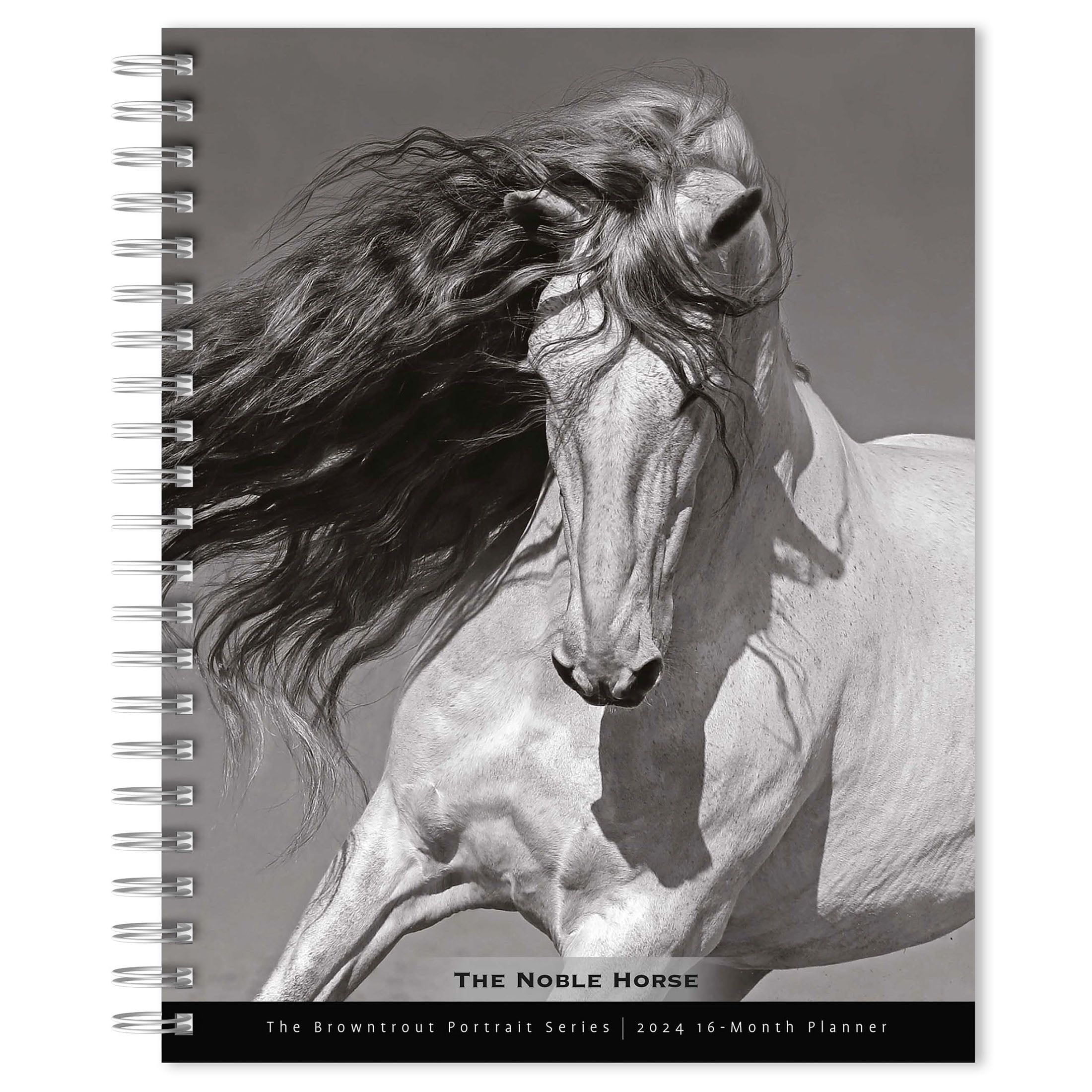 The Noble Horse | 2024 6x7.75" Wire-O Engagement Planner Calendar ...