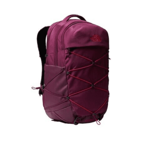 The North Face Borealis Backpack Women's Purple Laptop Sleeve Outdoor ...