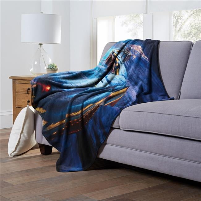 The Northwest 1WBS-23600-0041-OOF 50 x 60 in. Warner Bros. Polar ...