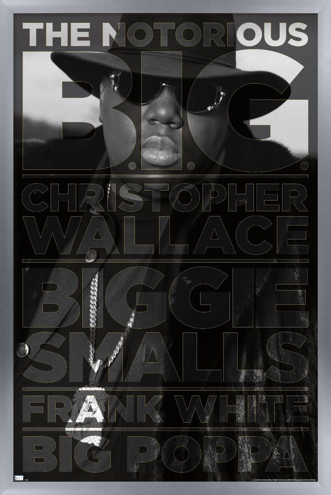 The Notorious B.I.G. - AKA Wall Poster, 22.375" x 34" Framed - Walmart.com