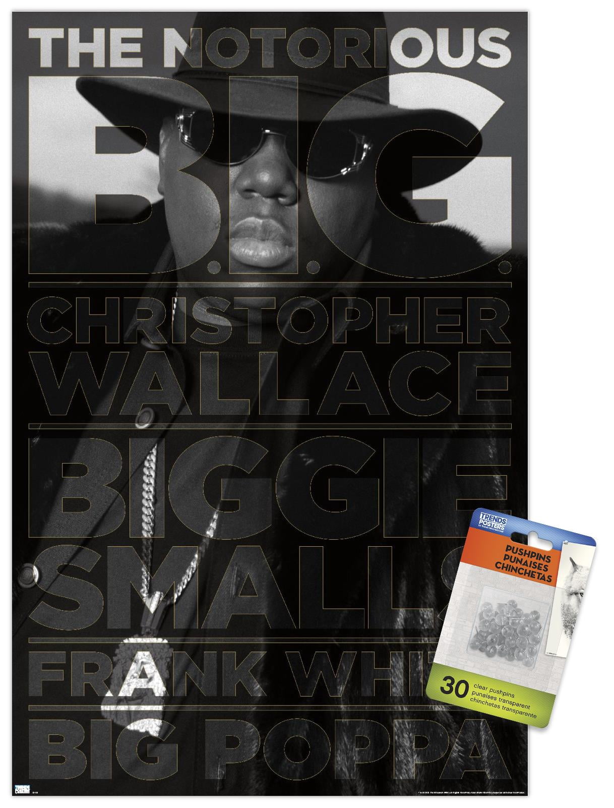 The Notorious B.I.G. - AKA Wall Poster with Push Pins, 14.725" x 22.375 ...
