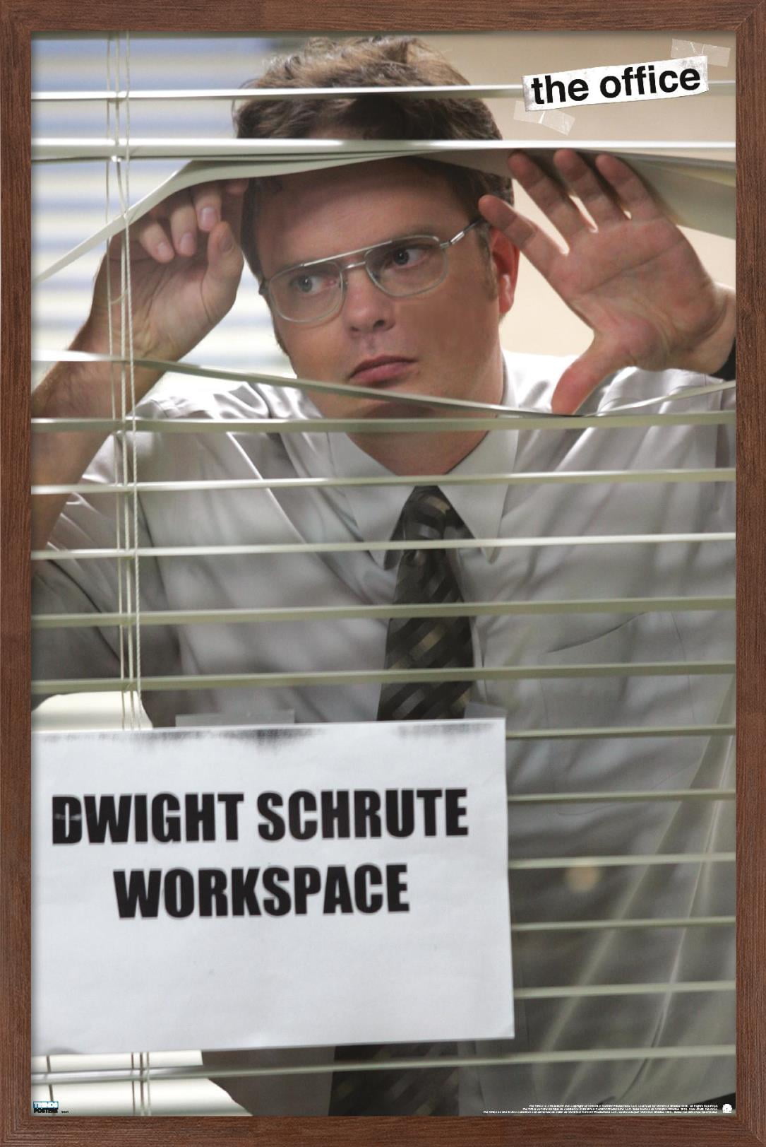 Dwight Schrute Poster